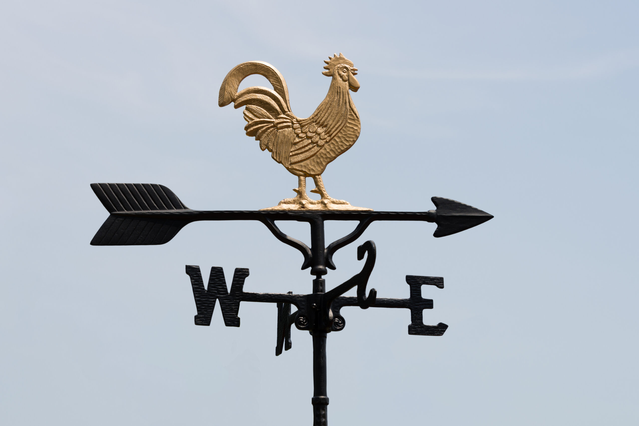 The Rooster Crows for Christ - Crisis Magazine